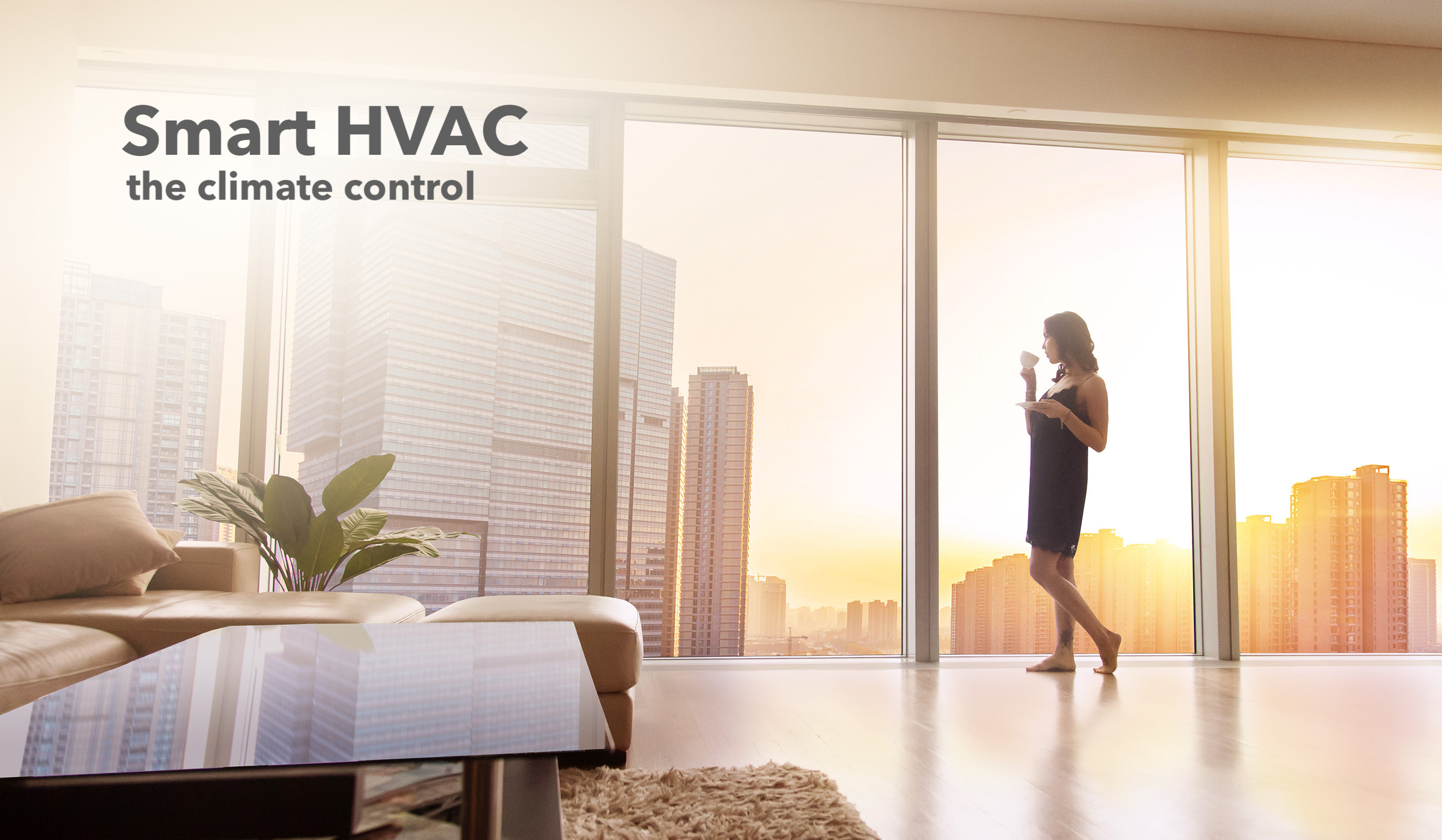 Energy Efficiency HVAC: The Power of Smart Climate Zones